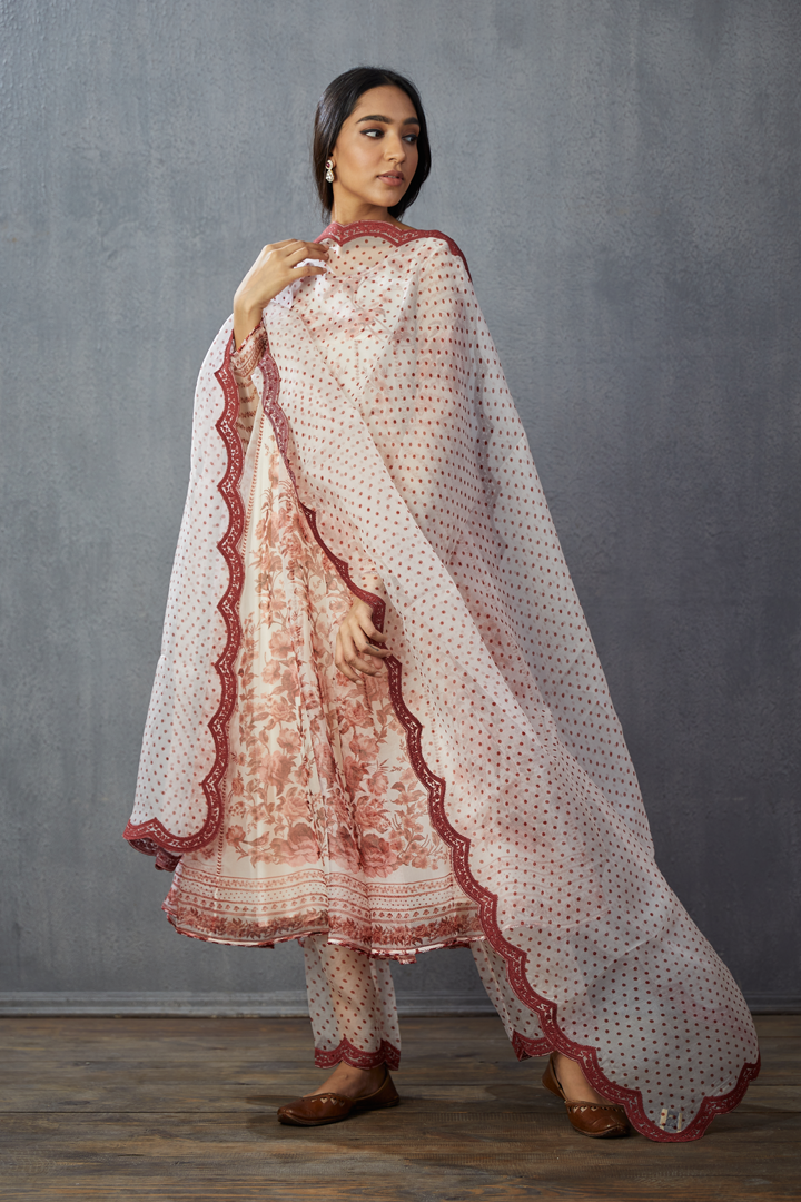 Bhuri Gauraiya Swati Odhni – Torani India