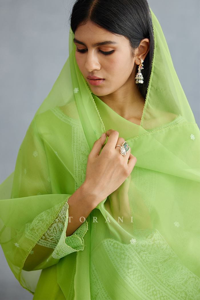 Angoori Abhra Odhni – Torani India